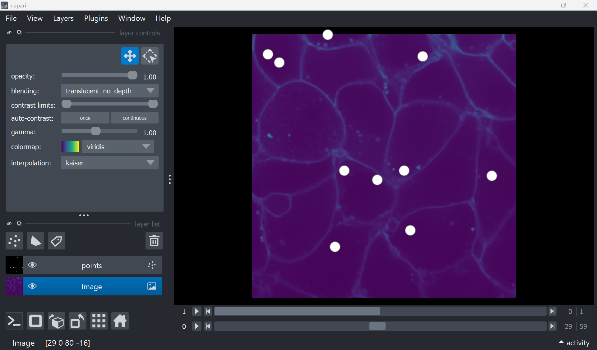 Napari - A multidimensional image viewer